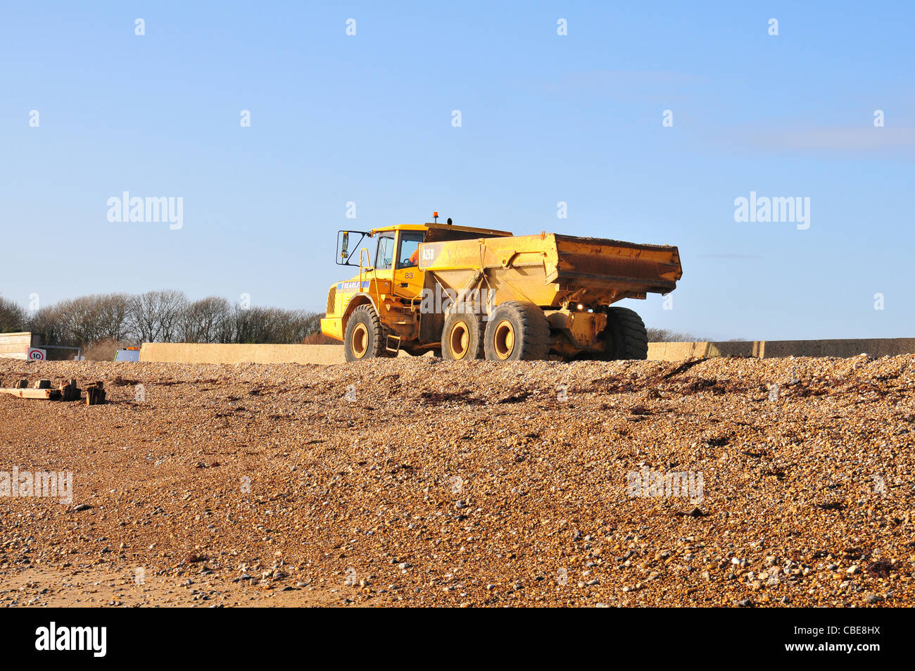 Climping plant hi-res stock photography and images - Alamy