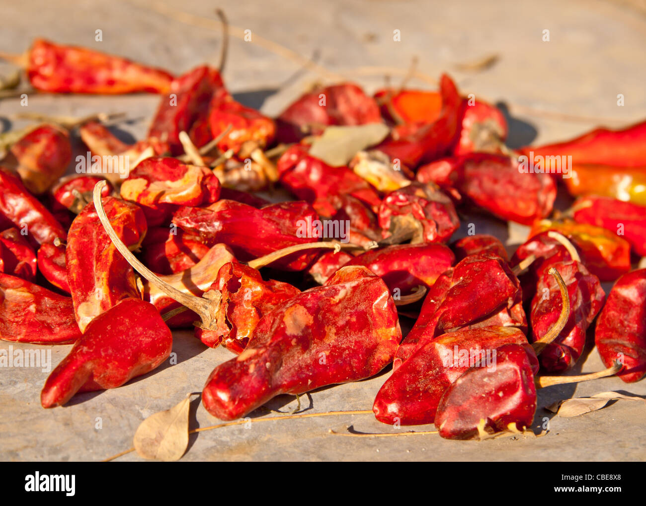 chili's drying in the sun in Myanmar Stock Photo - Alamy
