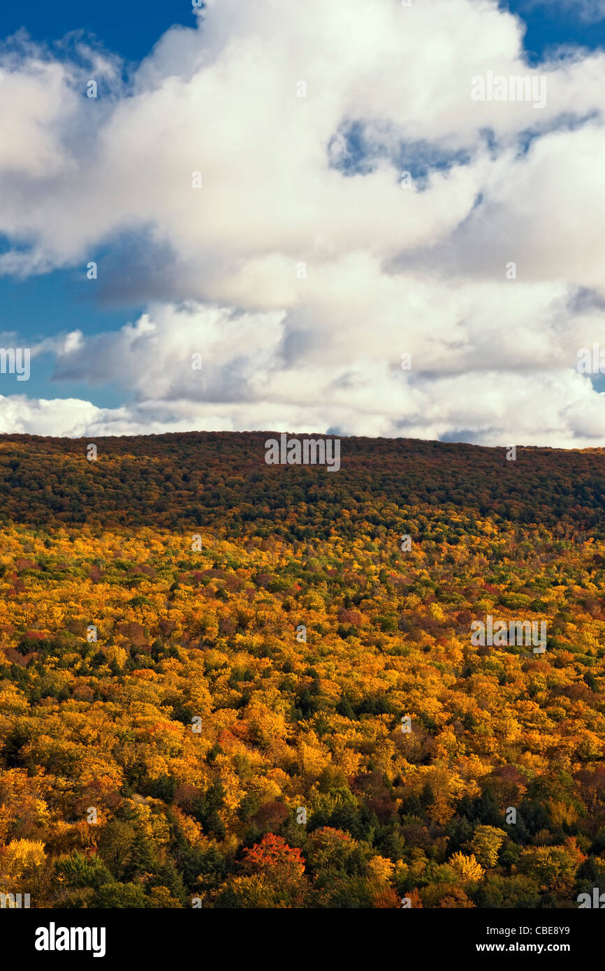 Autumn colors among the canopy of the Ottawa National Forest and ...