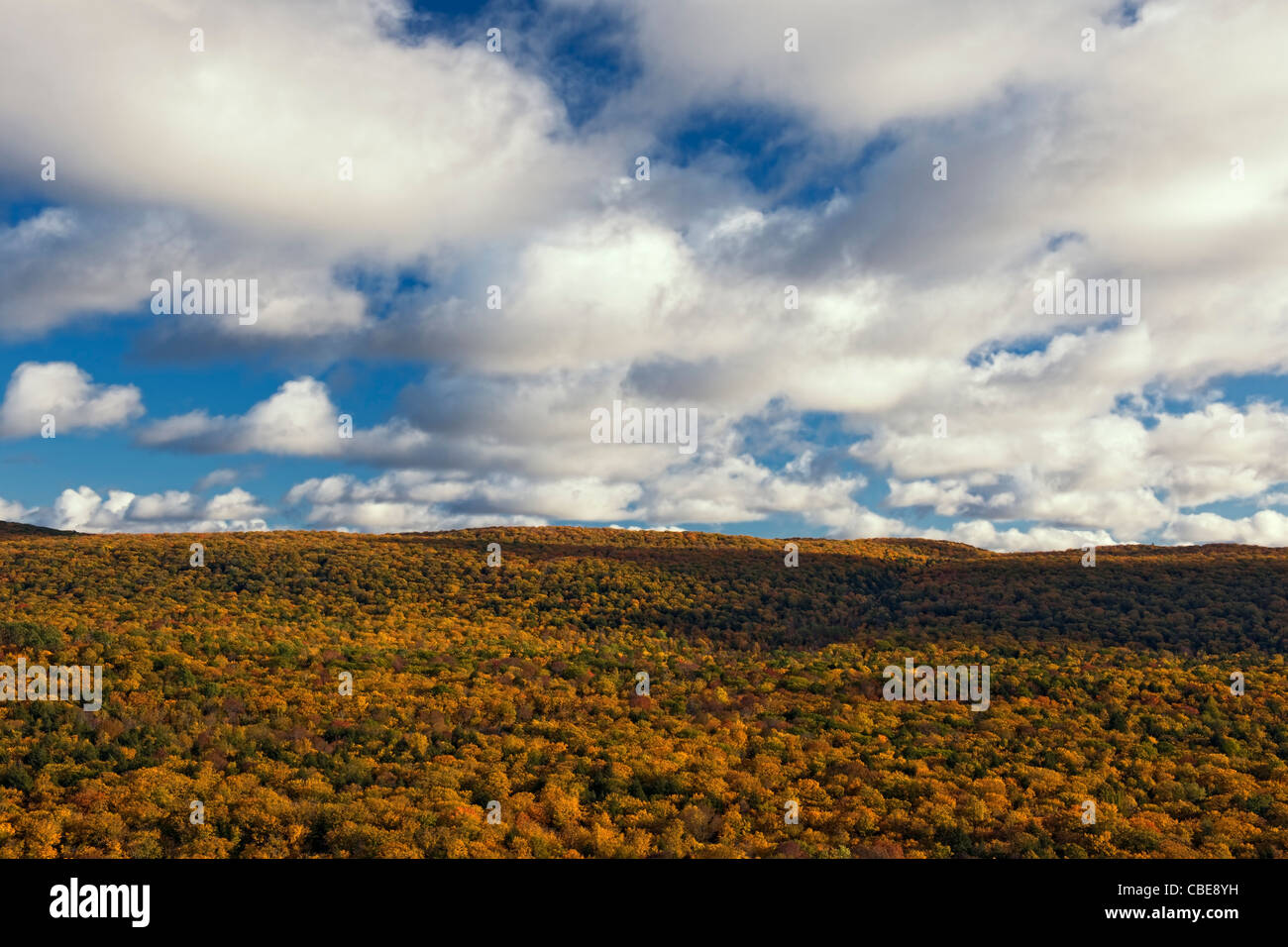 Autumn colors among the canopy of the Ottawa National Forest and ...