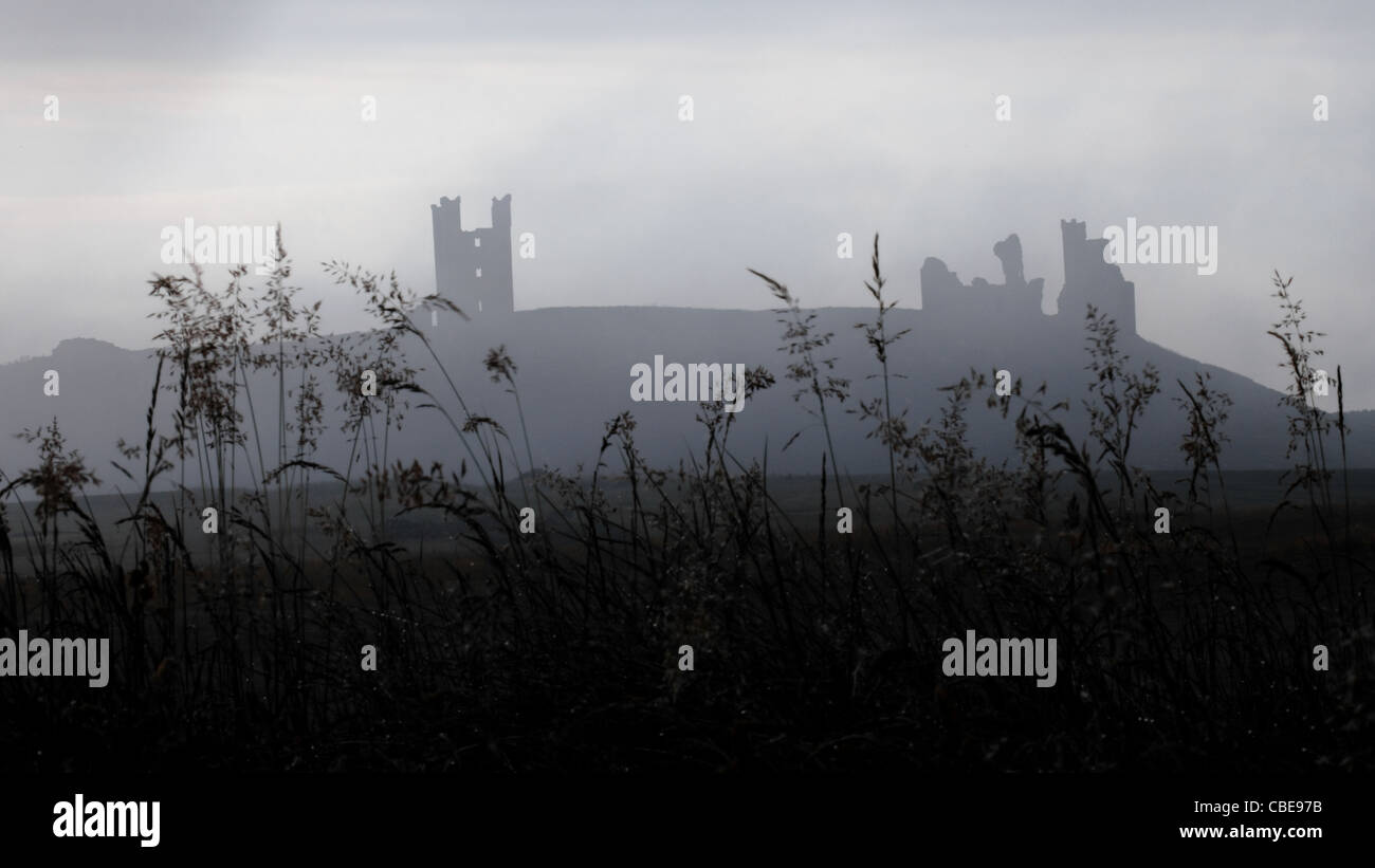 Saddle Castle High Resolution Stock Photography and Images - Alamy