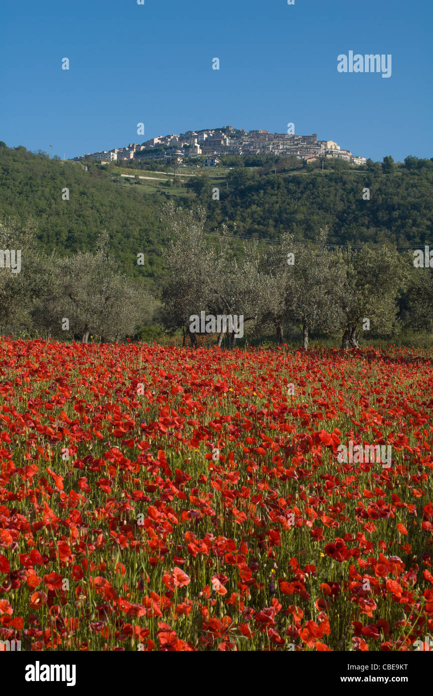 An overview of Viggiano, Italy Stock Photo - Alamy