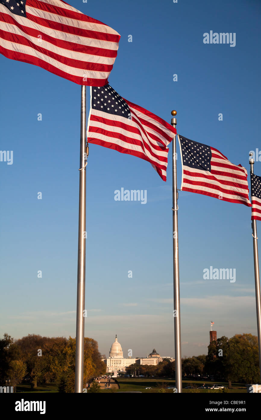 The US Capitol and US Flags in Washington D.C Stock Photo - Alamy