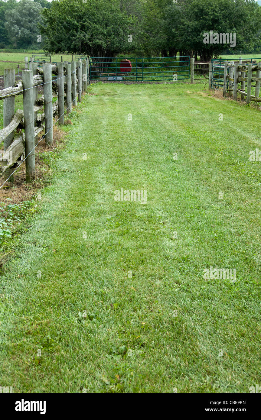 Corral fencing hi-res stock photography and images - Alamy
