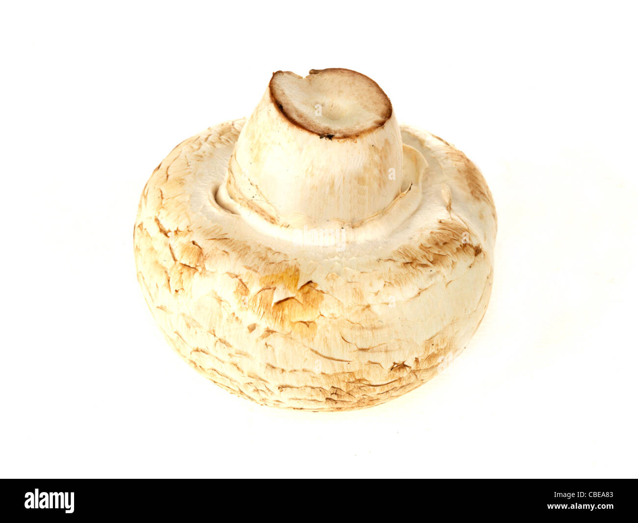 Button mushroom hi-res stock photography and images - Alamy