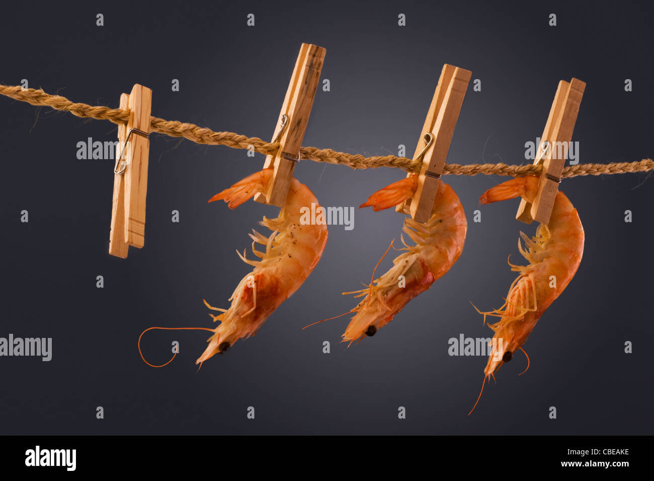 Shrimp on a line Stock Photo - Alamy