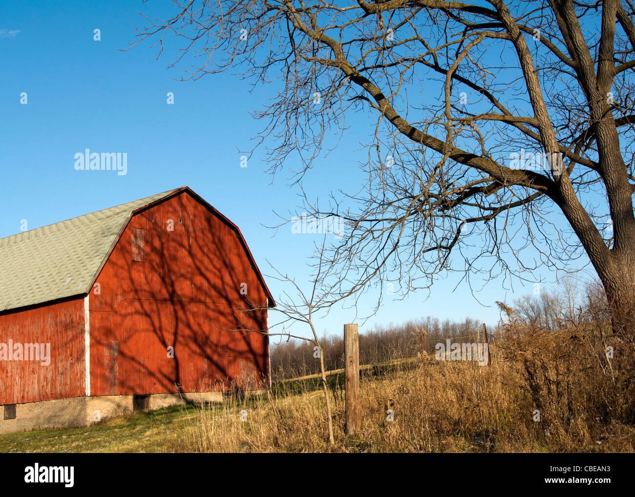 Barn with tree shadow hi-res stock photography and images - Alamy