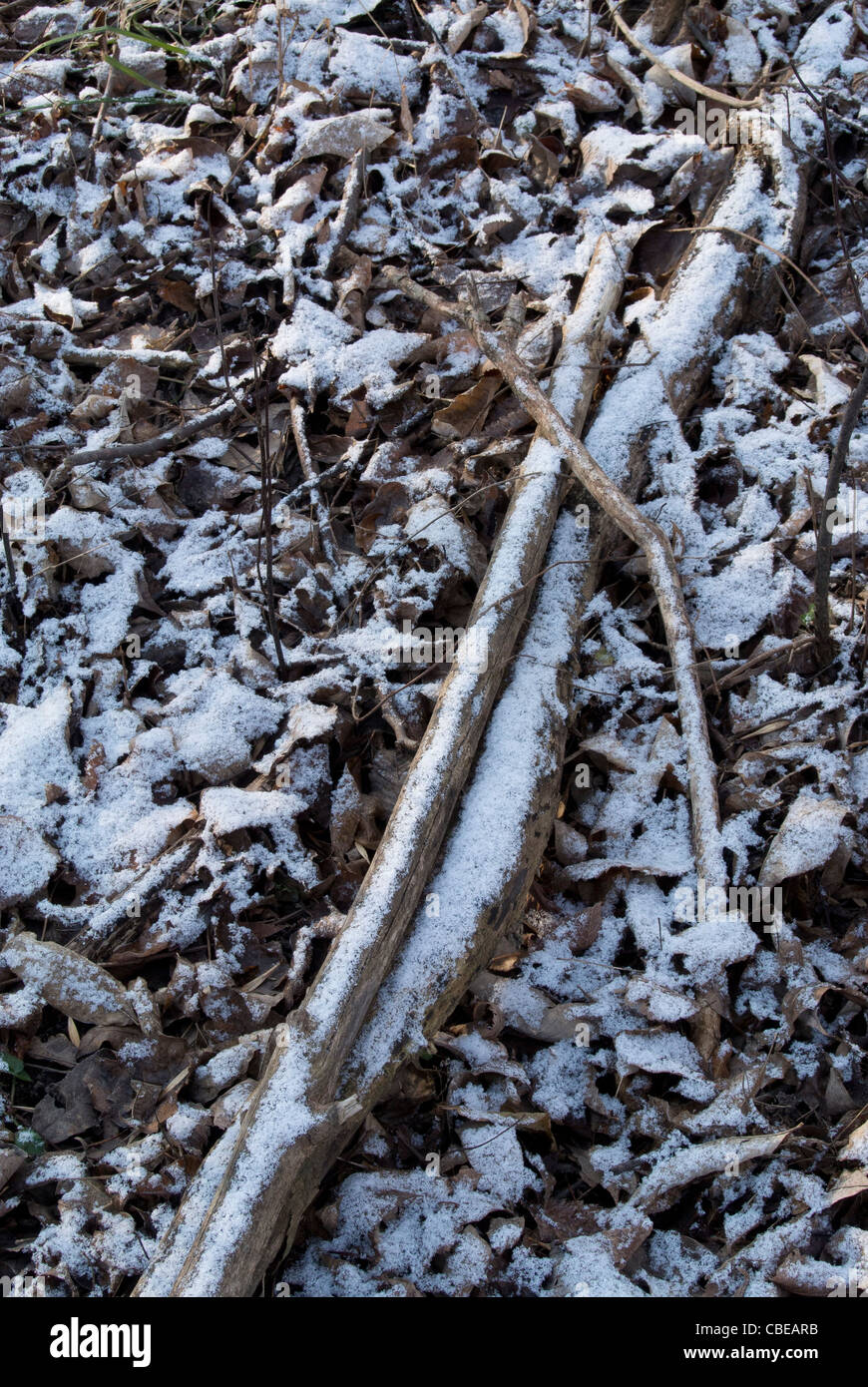 The first snow hi-res stock photography and images - Alamy