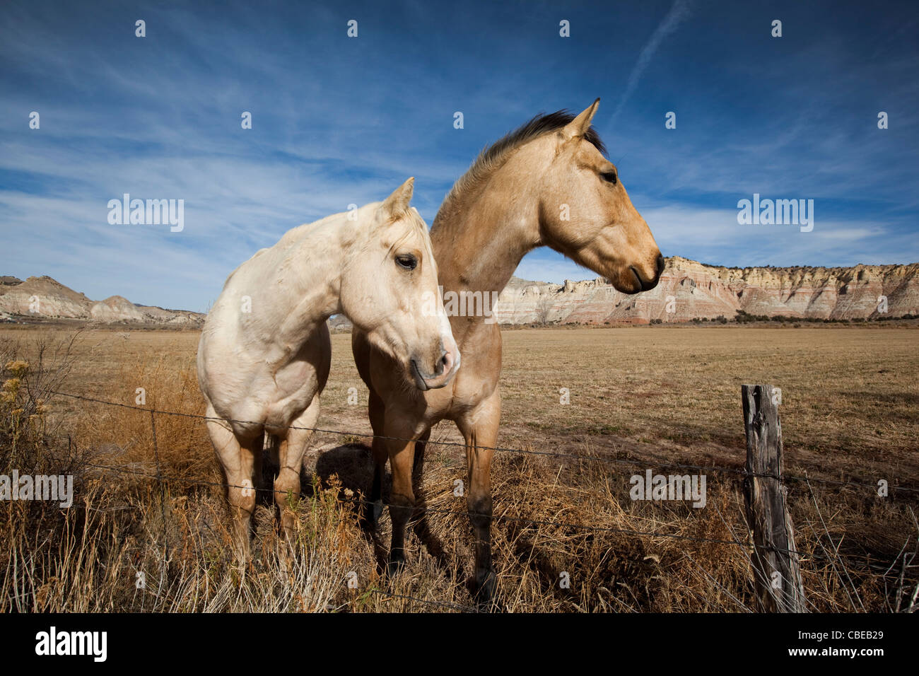 Beige mountains hi-res stock photography and images - Alamy