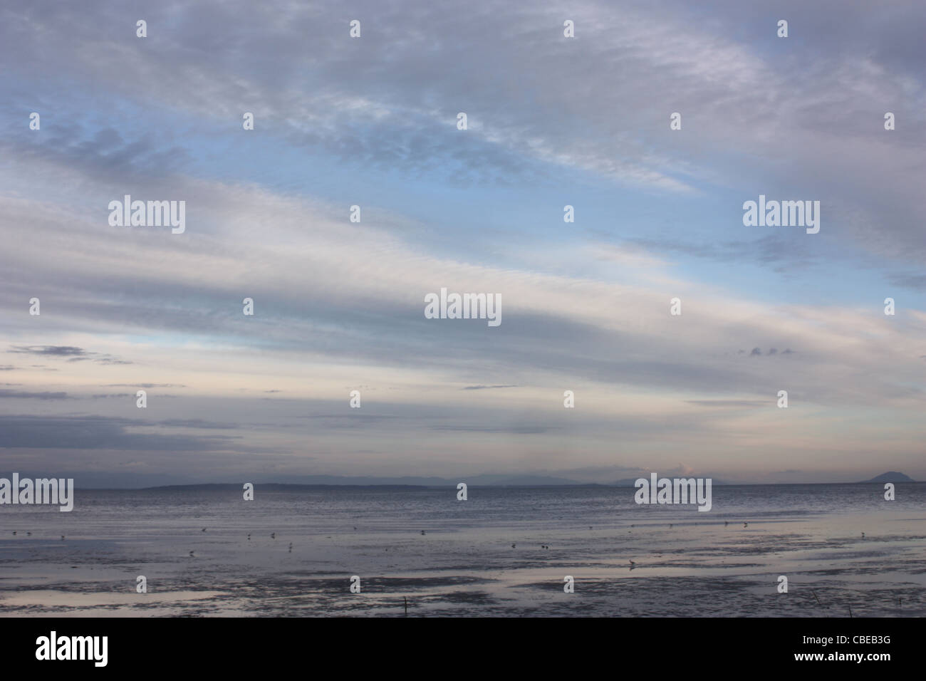 Boundary Bay, British Columbia Stock Photo - Alamy