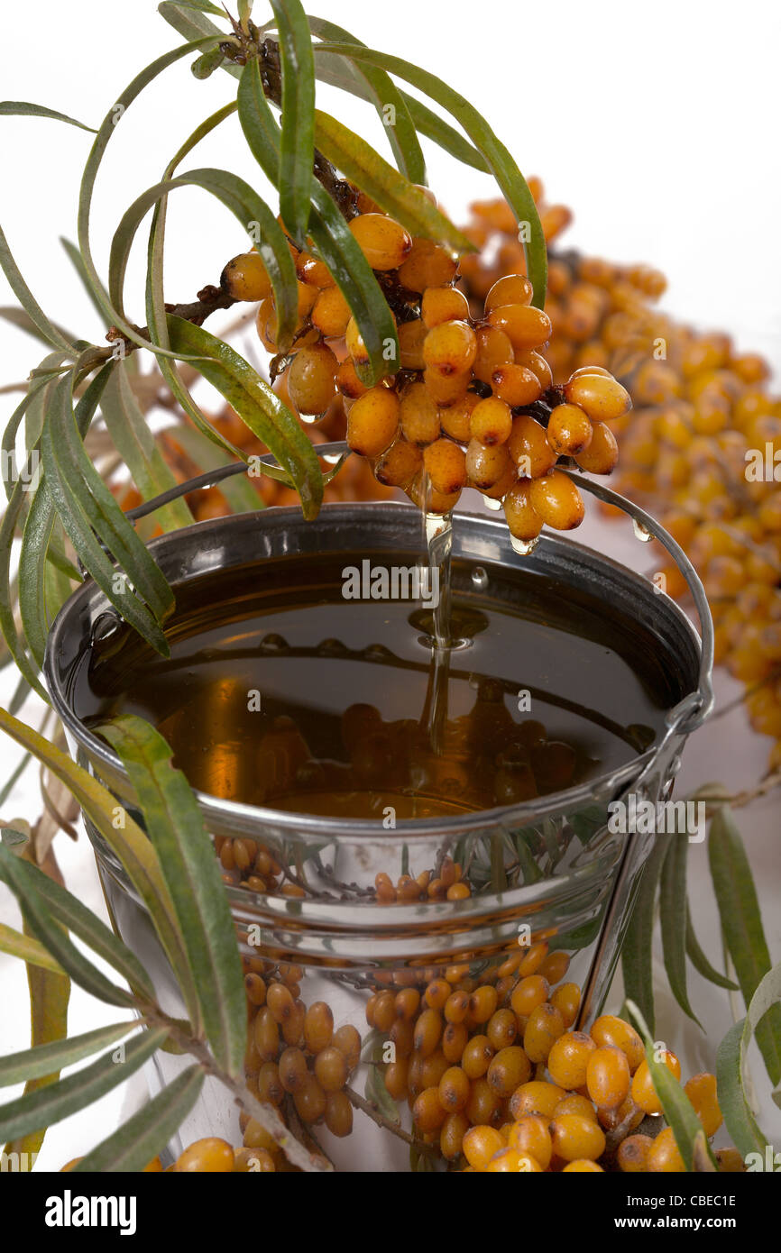 Oil of sea-buckthorn berries. Branch of a plant and oil Stock Photo - Alamy