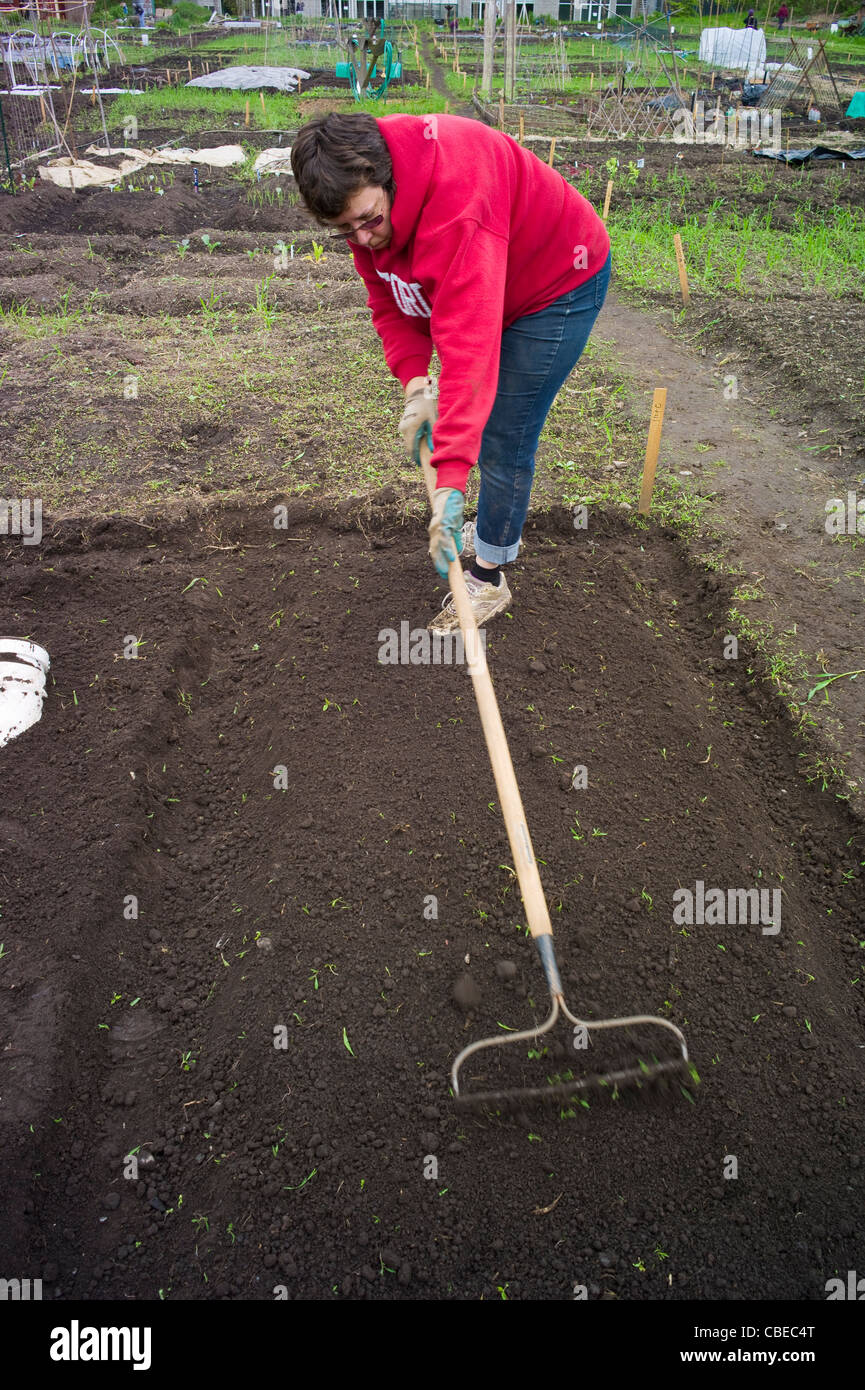 Preparing the soil hi-res stock photography and images - Alamy