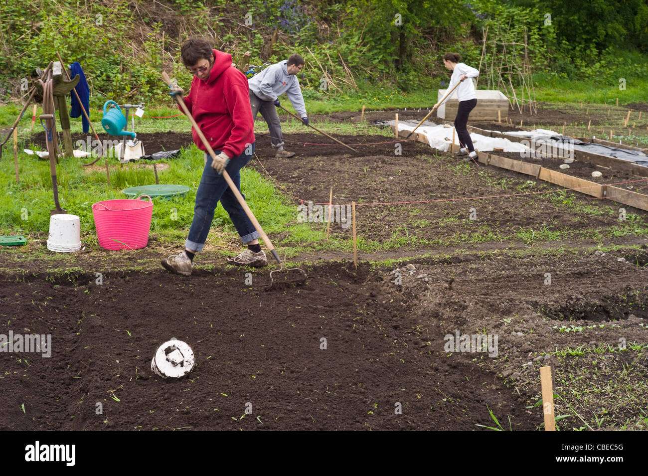 Woman preparing soil for planting in community p patch garden Stock ...