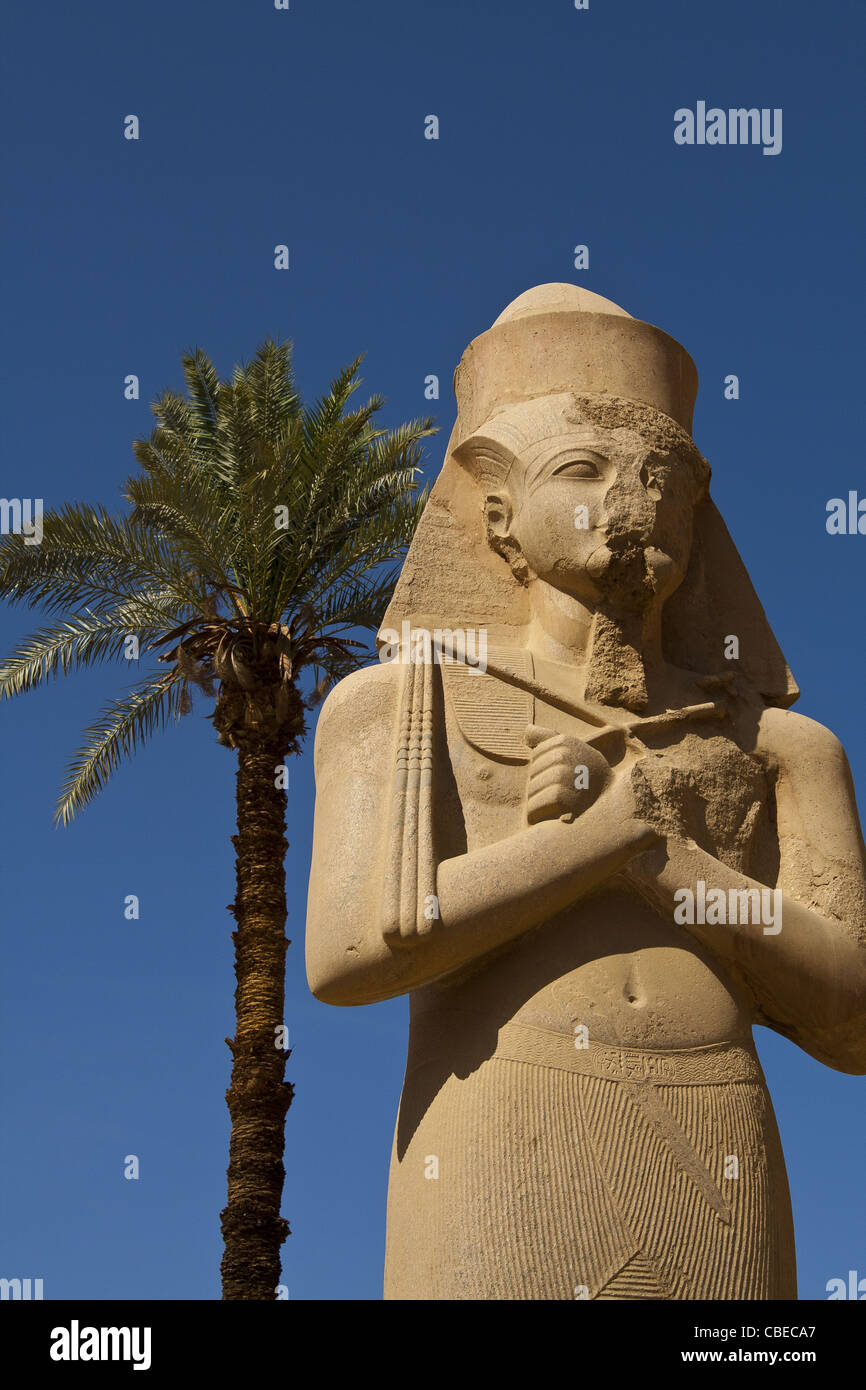Colossus of Rameses 11 with palm tree Stock Photo - Alamy