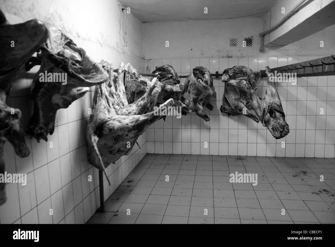 Red intestine Black and White Stock Photos & Images - Alamy