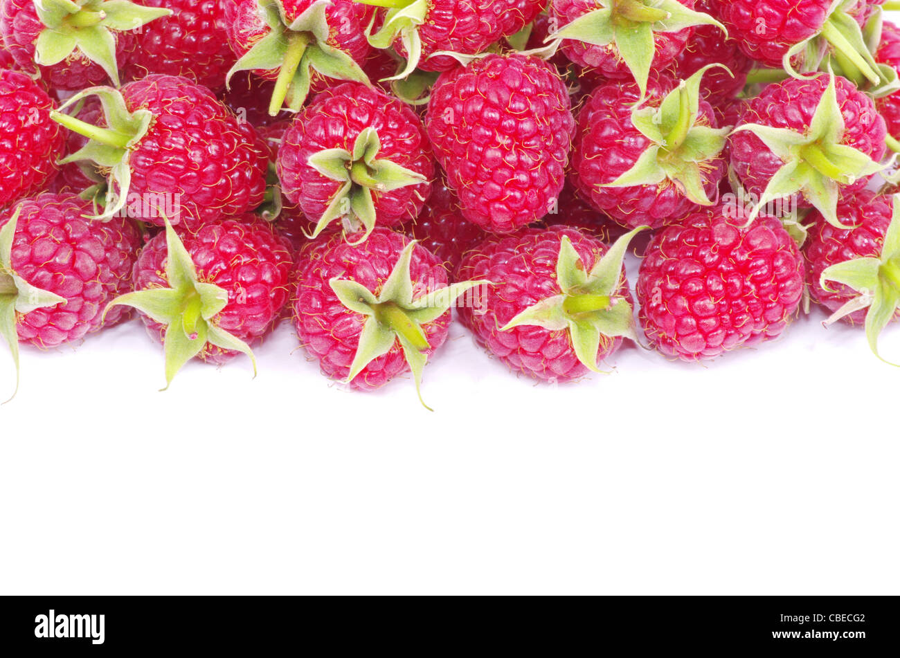 fresh raspberry closeup isolated on white background Stock Photo - Alamy
