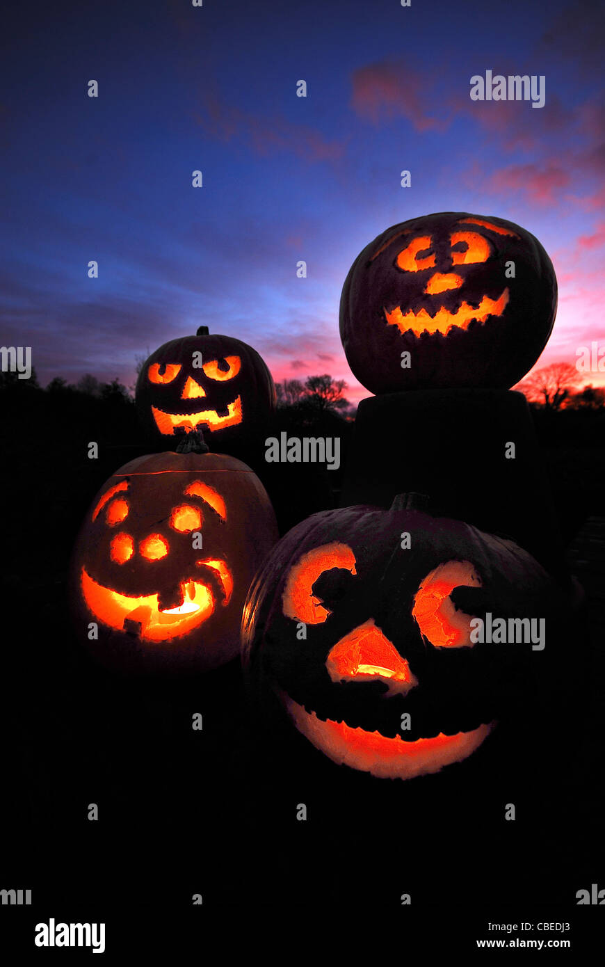Four happy faces carved out of pumpkins at dusk UK Stock Photo - Alamy