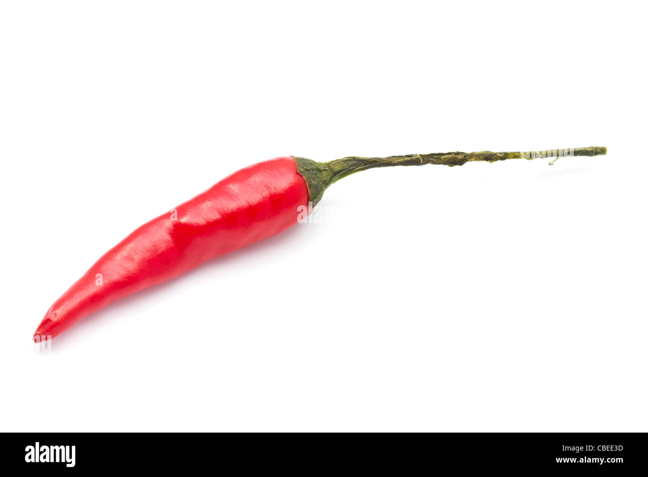 Fresh red chilli isolated on white background Stock Photo - Alamy