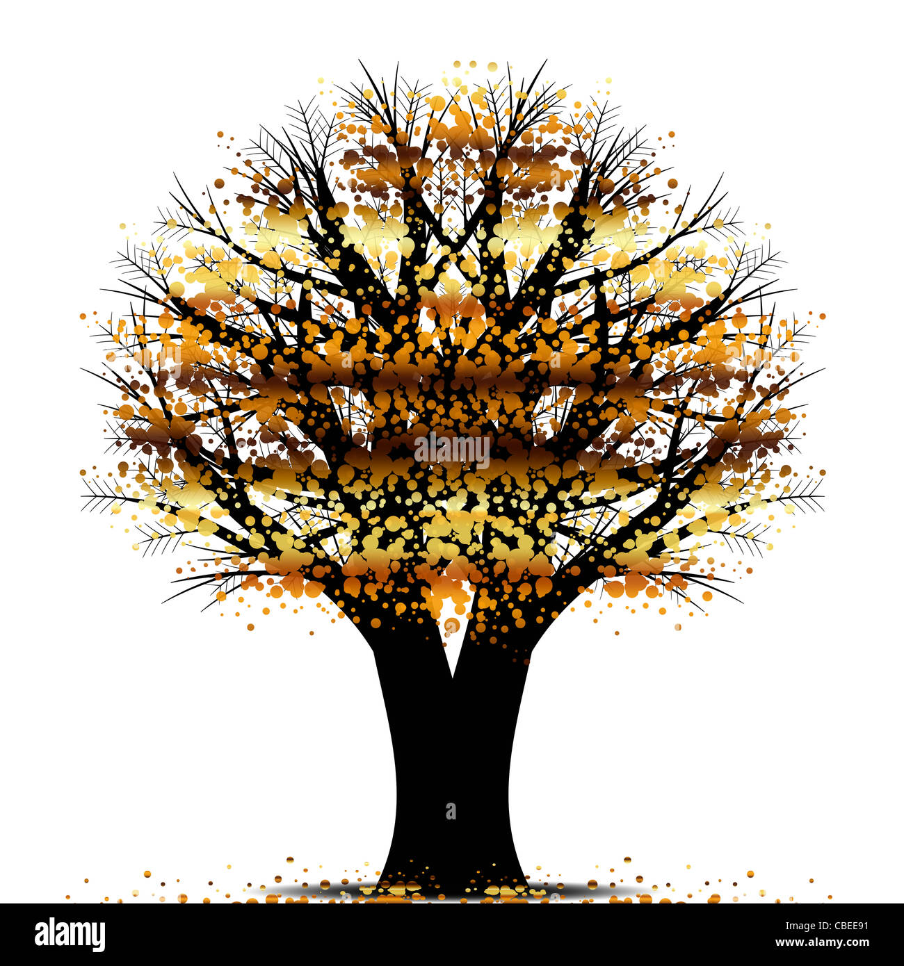 Beautiful autumn tree isolated on white background Stock Photo - Alamy