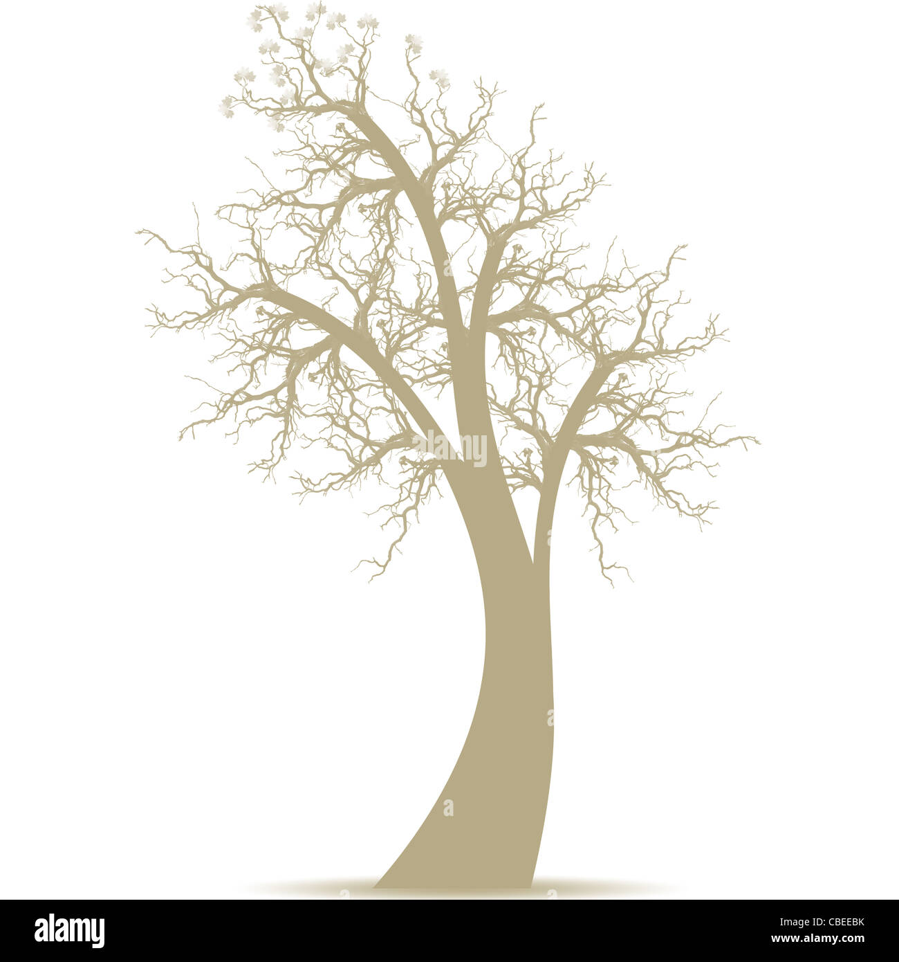 Beautiful art tree isolated on white background Stock Photo - Alamy