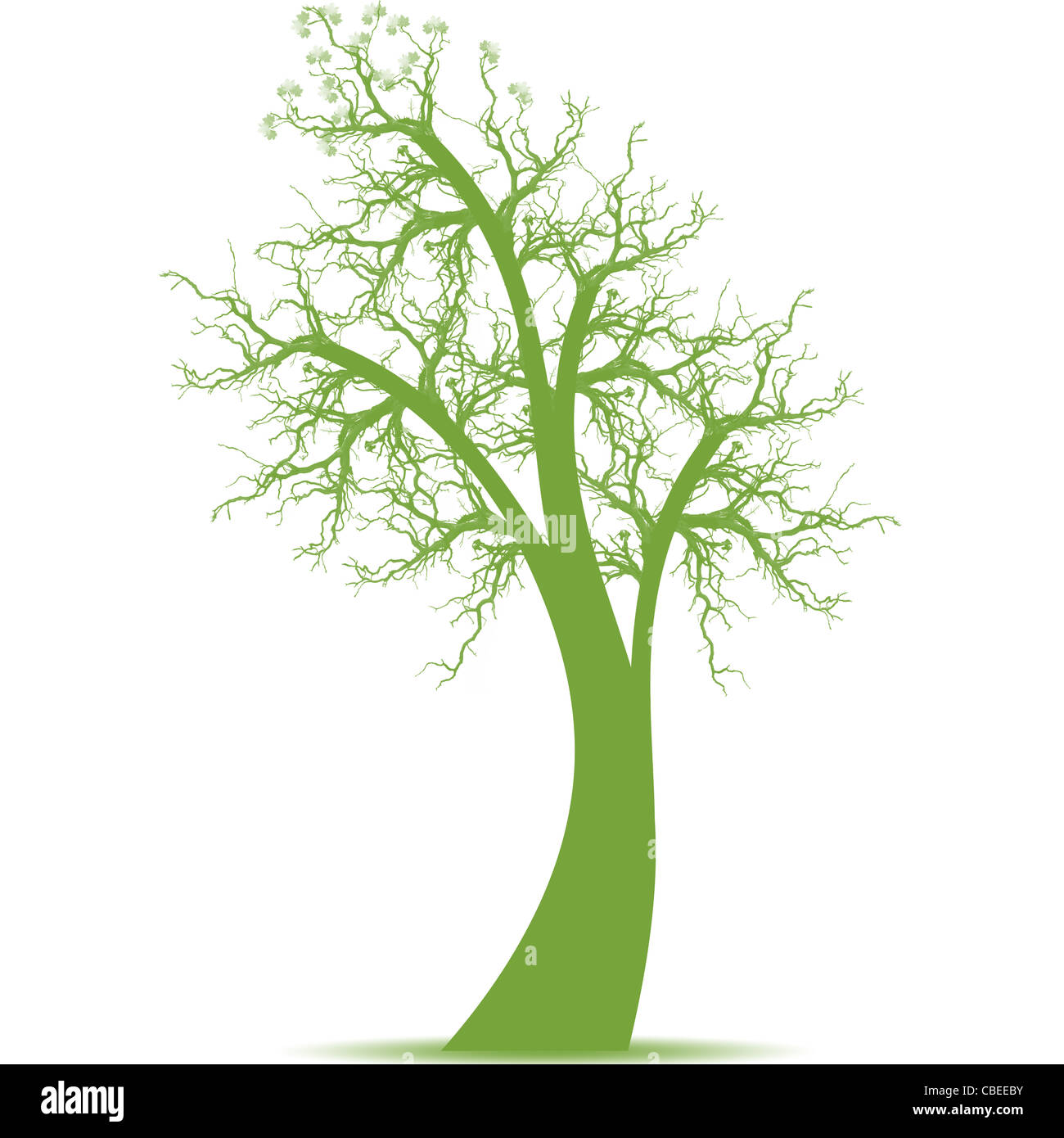 Beautiful art tree isolated on white background Stock Photo - Alamy