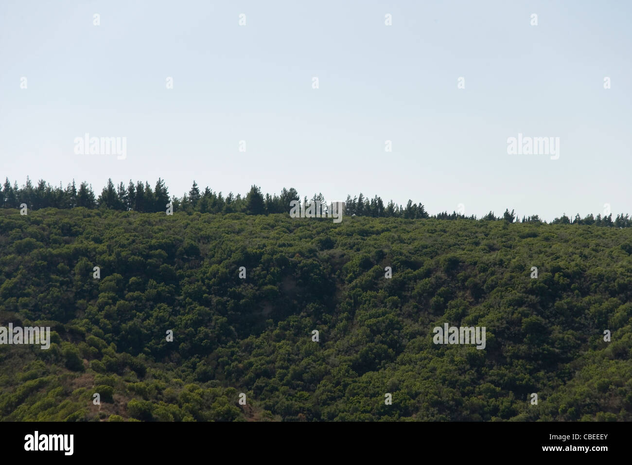 Quinns post cemetery hi-res stock photography and images - Alamy