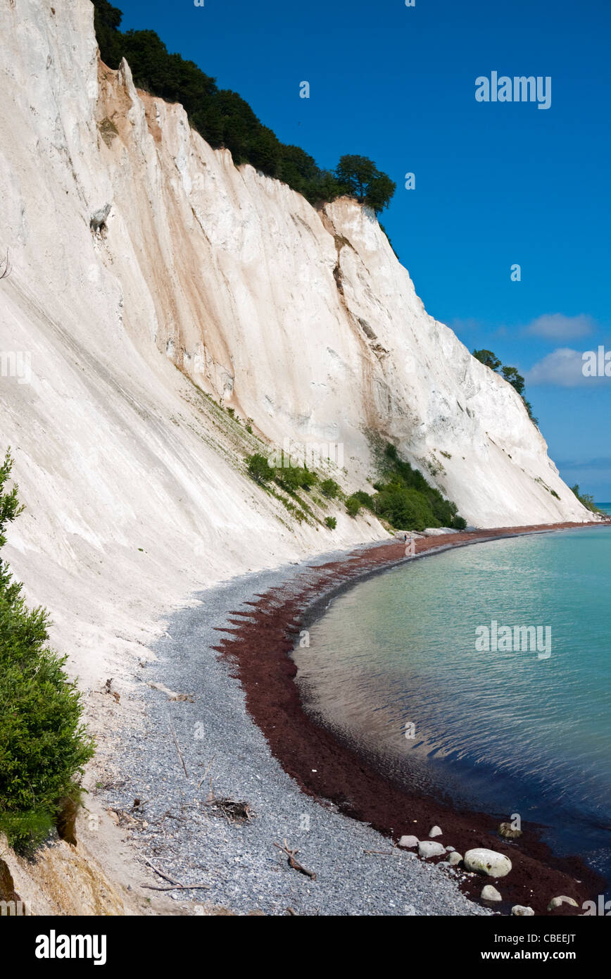 Mons Moens Møns klint limestone coast cliff moen Denmark Stock Photo ...
