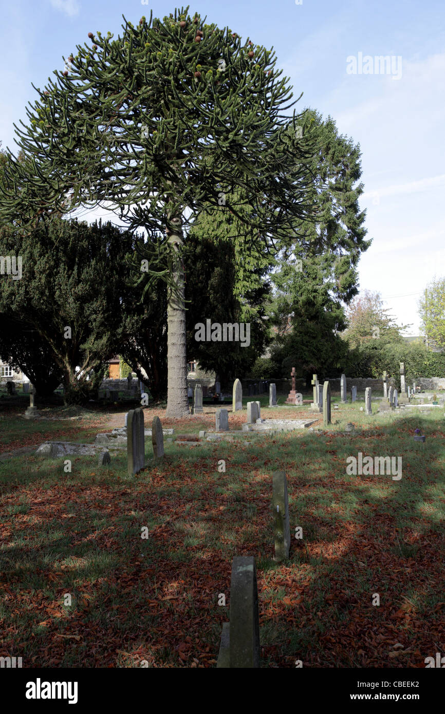 Old family burial plots hi-res stock photography and images - Alamy