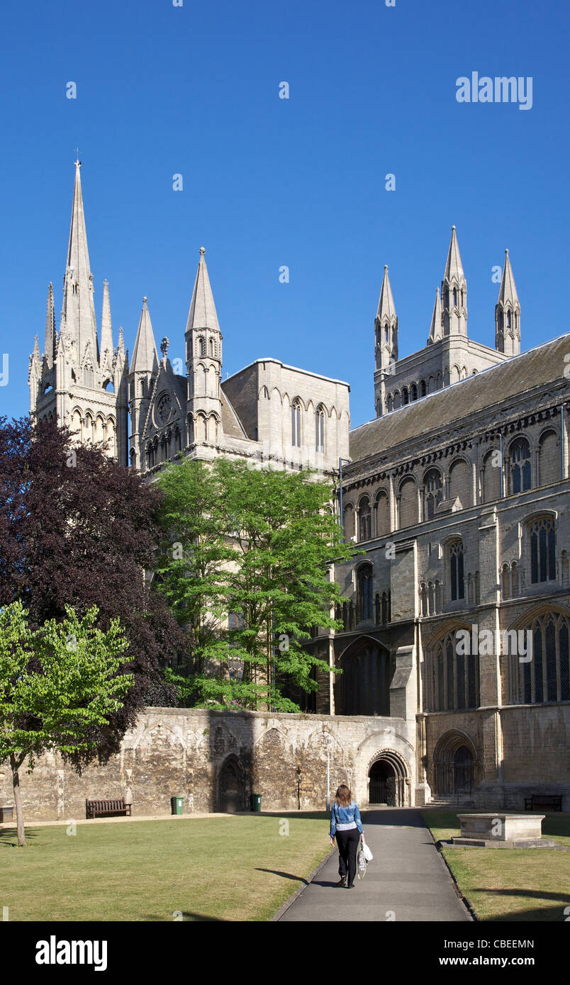View of Peterborough Cathedral (Cathedral Church of St Peter, St Paul ...