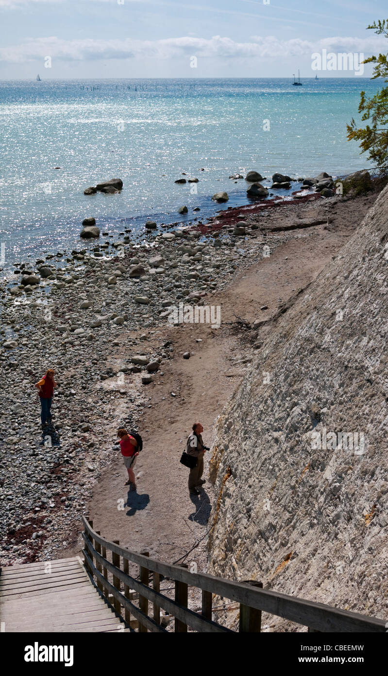 Mons Moens Møns klint limestone coast cliff moen Denmark Stock Photo ...