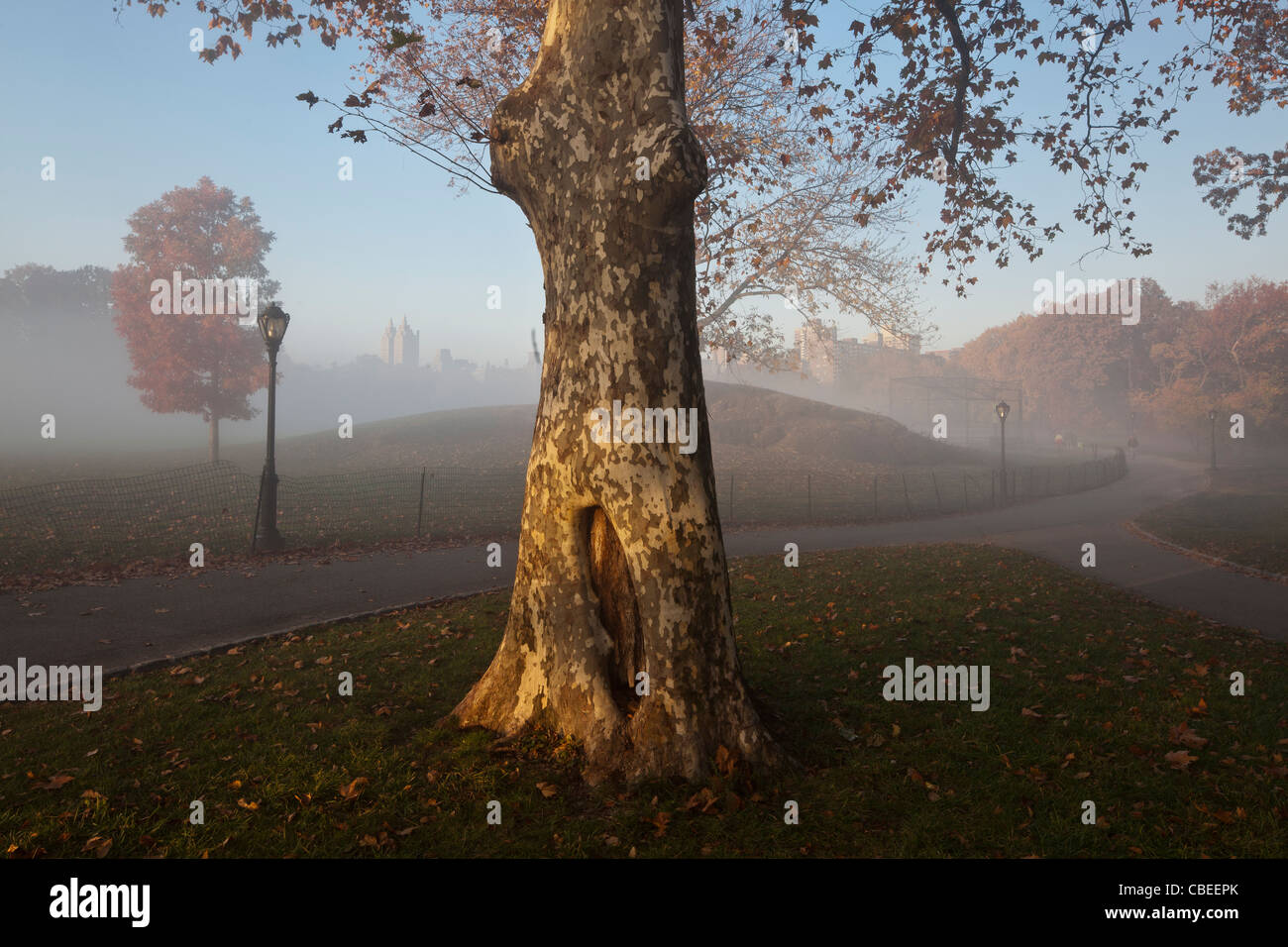 City park in mist hi-res stock photography and images - Alamy