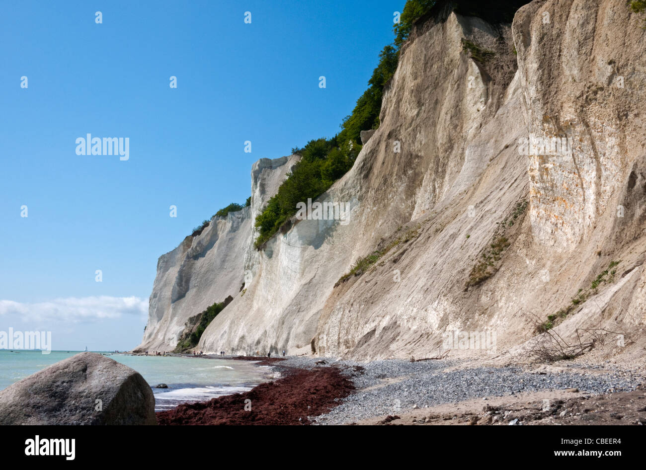 Mons Moens Møns klint limestone coast cliff moen Denmark Stock Photo ...