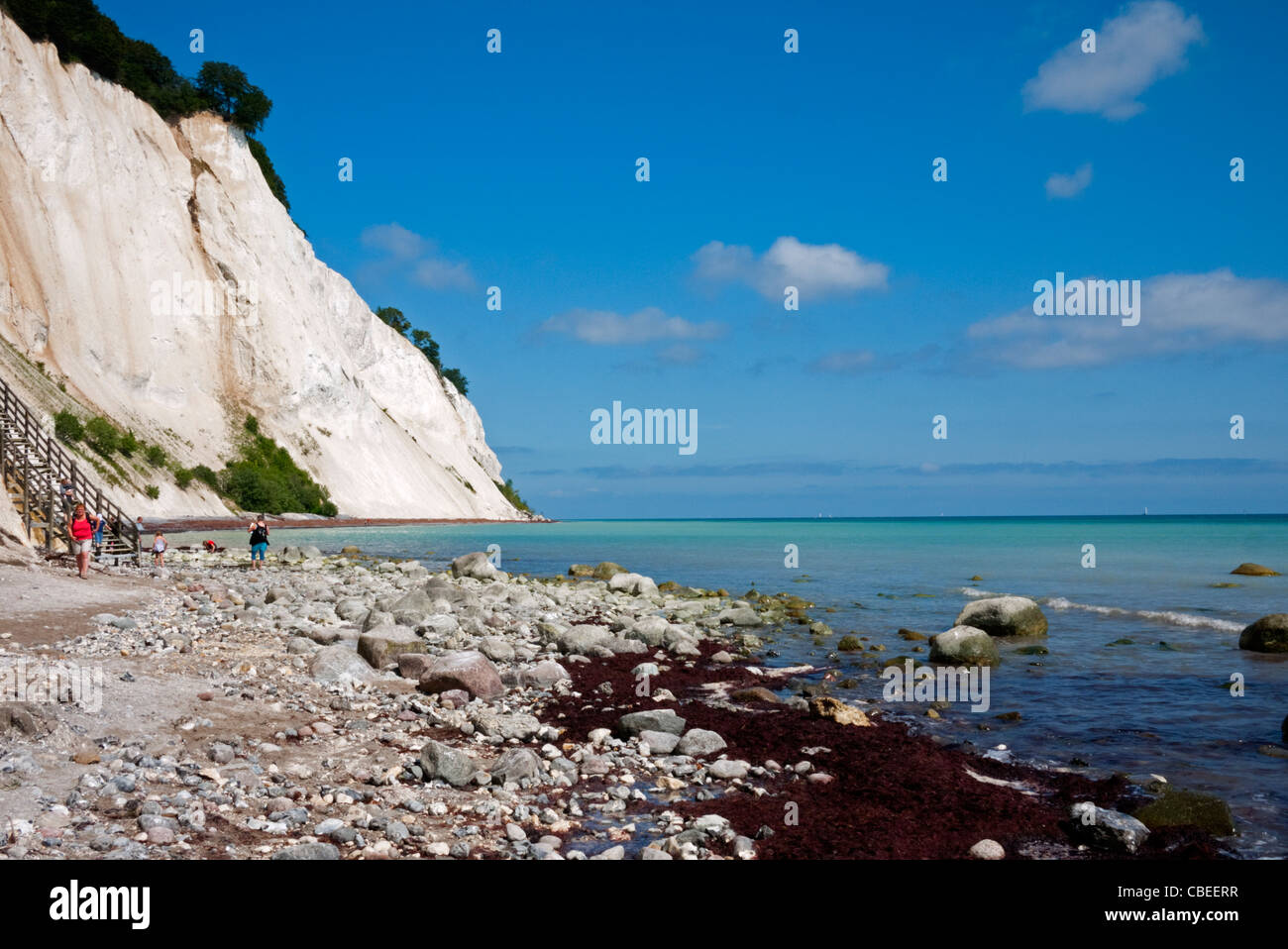 Mons Moens Møns klint limestone coast cliff moen Denmark Stock Photo ...