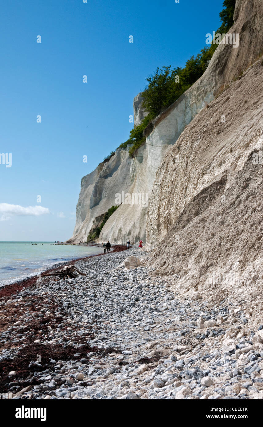 Mons Moens Møns klint limestone coast cliff moen Denmark Stock Photo ...