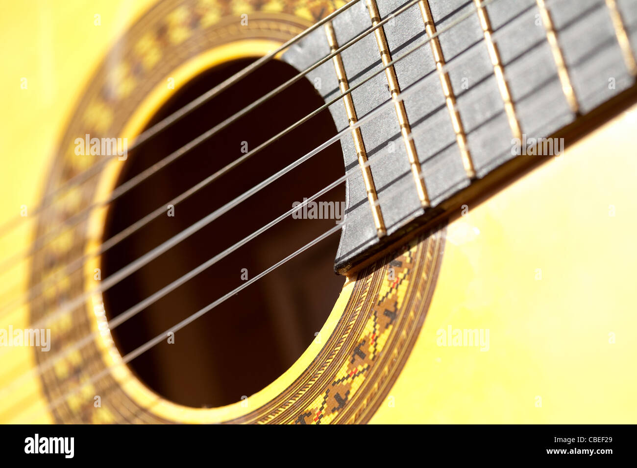 String instrument musicians performing entertaining hi-res stock ...