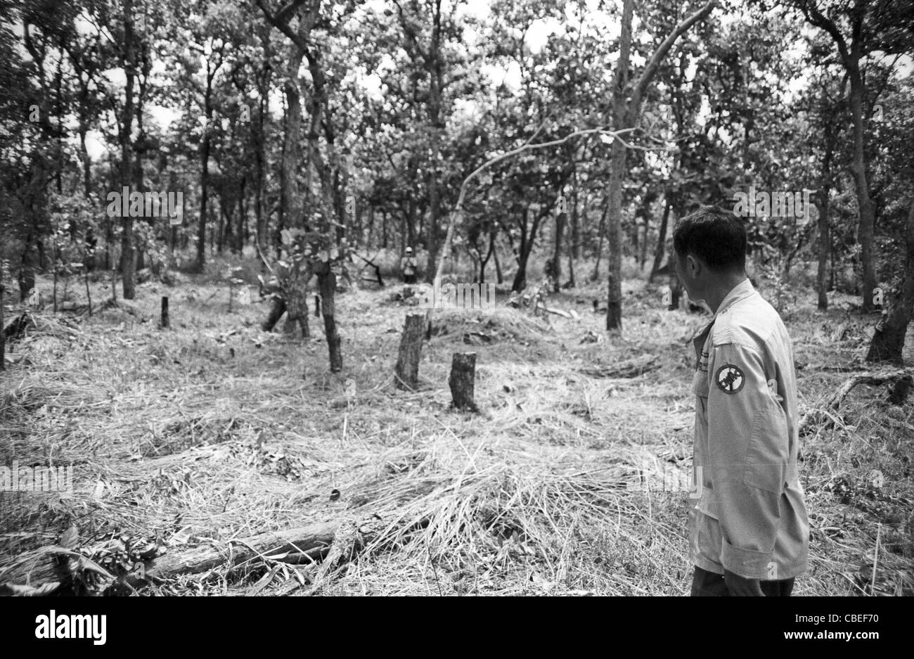 Cambodia - Mines , Cambodia - Mines Stock Photo - Alamy