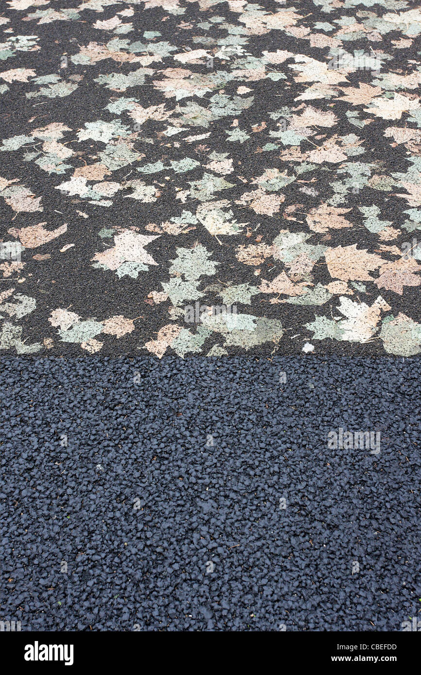 Unique Tree Patterns High Resolution Stock Photography and Images - Alamy