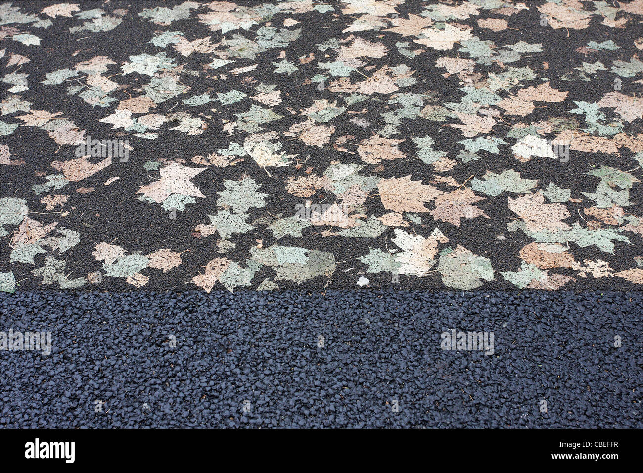 Autumnal London plane tree leaves seen here forming unusual patterns on ...