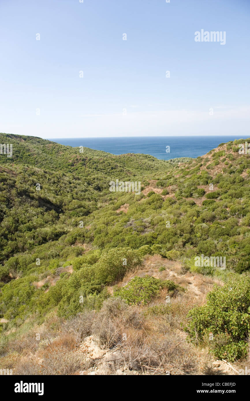 Gallipoli shrapnel gully hi-res stock photography and images - Alamy