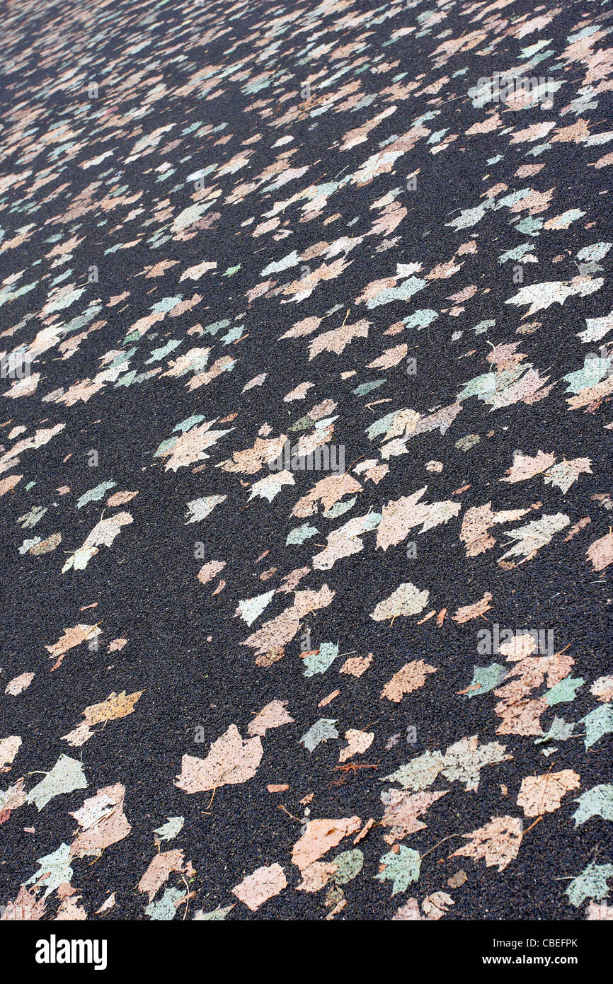 Forming annually hi-res stock photography and images - Alamy