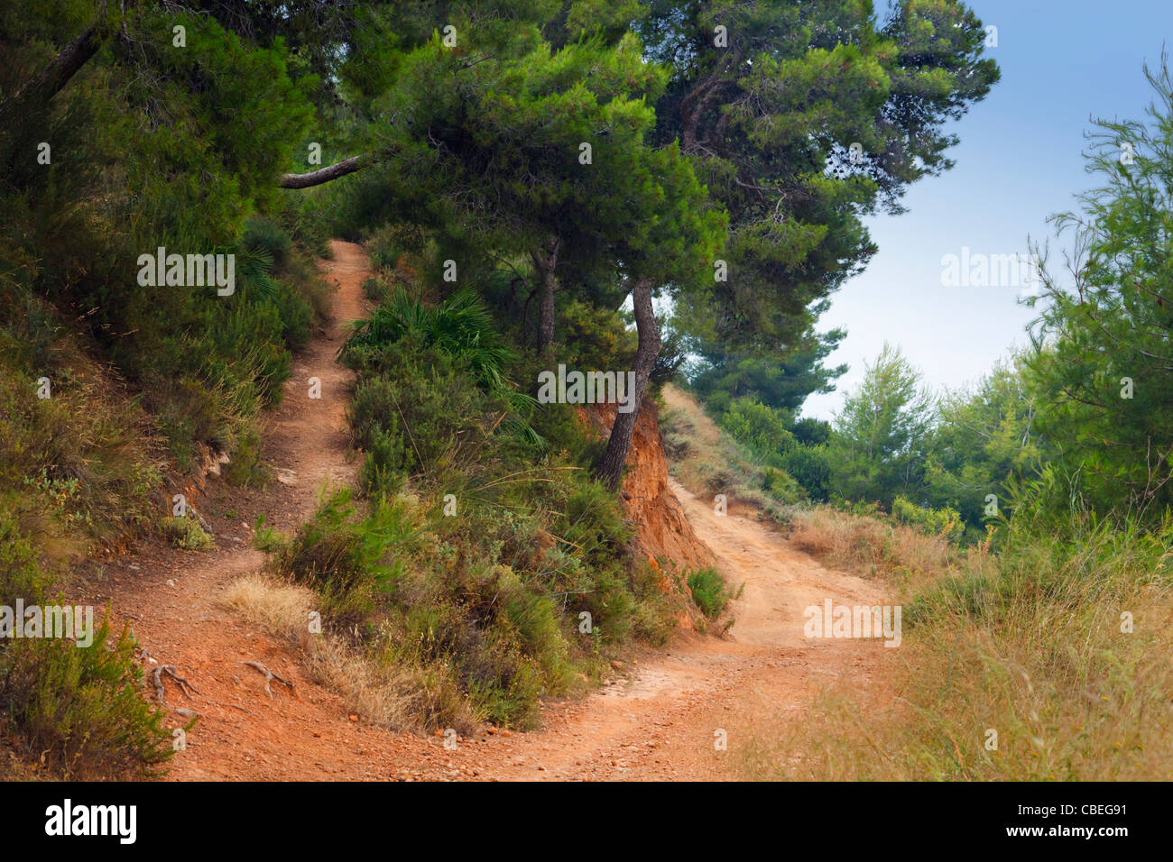 Trails on the Paraje Natural Acantilados de Maro-Cerro Gordo, or Maro ...