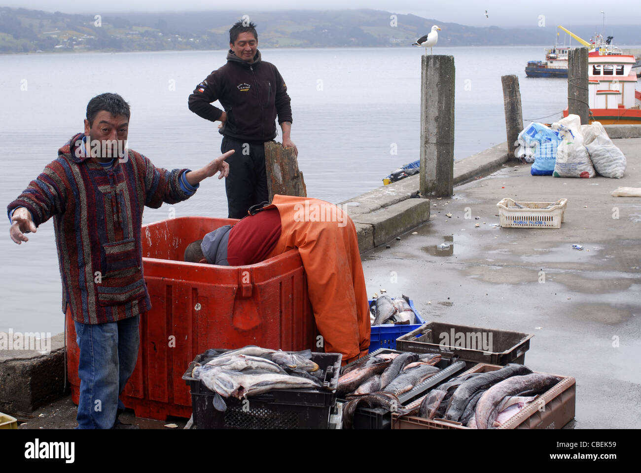 Chile chiloe island ancud fishing hi-res stock photography and images ...