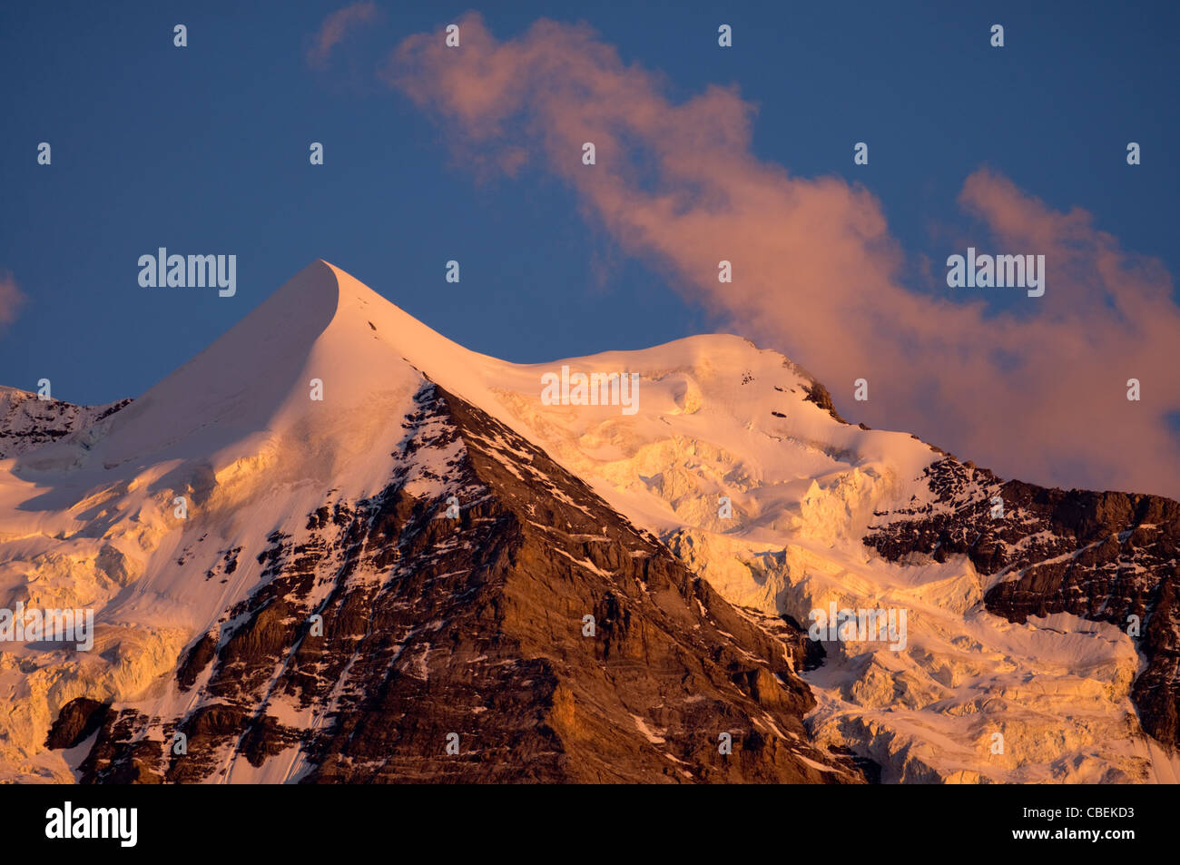 The Silberhorn at sunset in the Bernese Oberland, Switzerland Stock ...