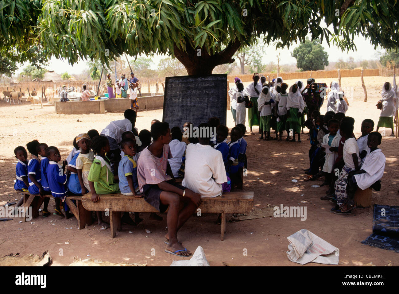 The Gambia. Schoolchildren attending class outside with the blackboard ...