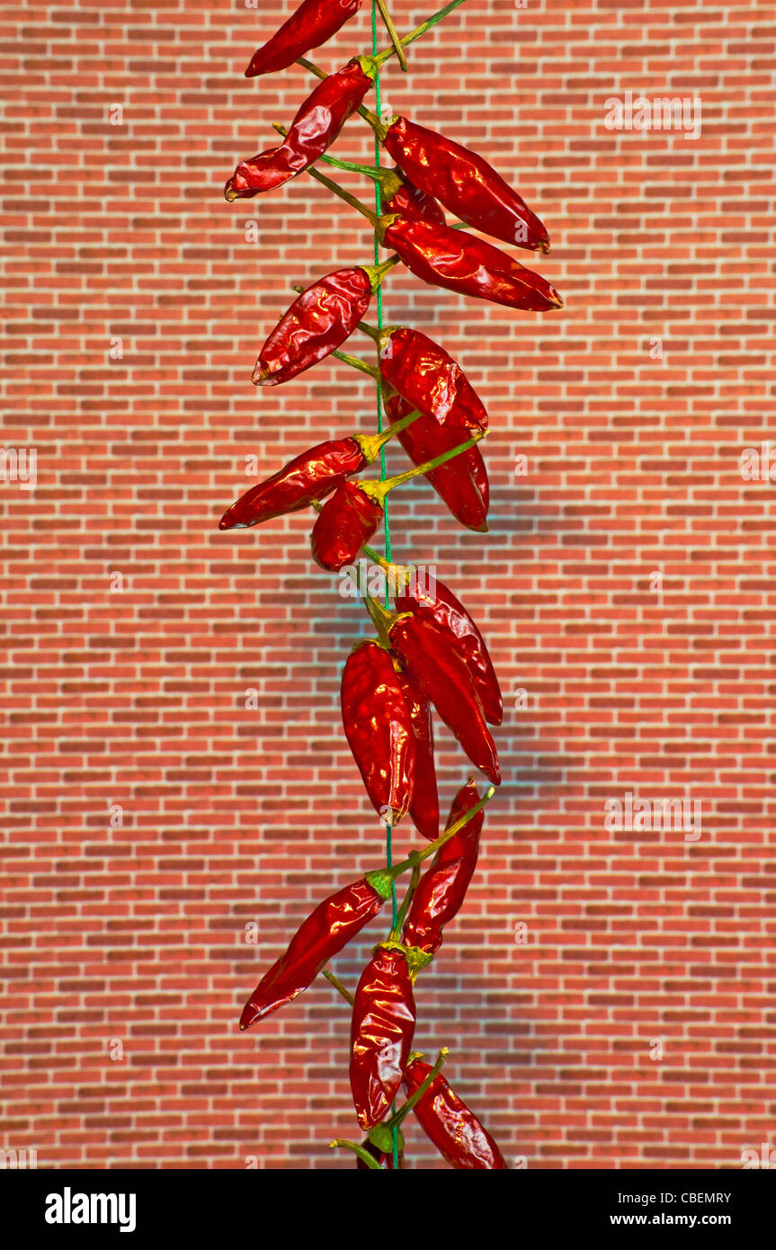 Hanging chili fruits hi-res stock photography and images - Alamy