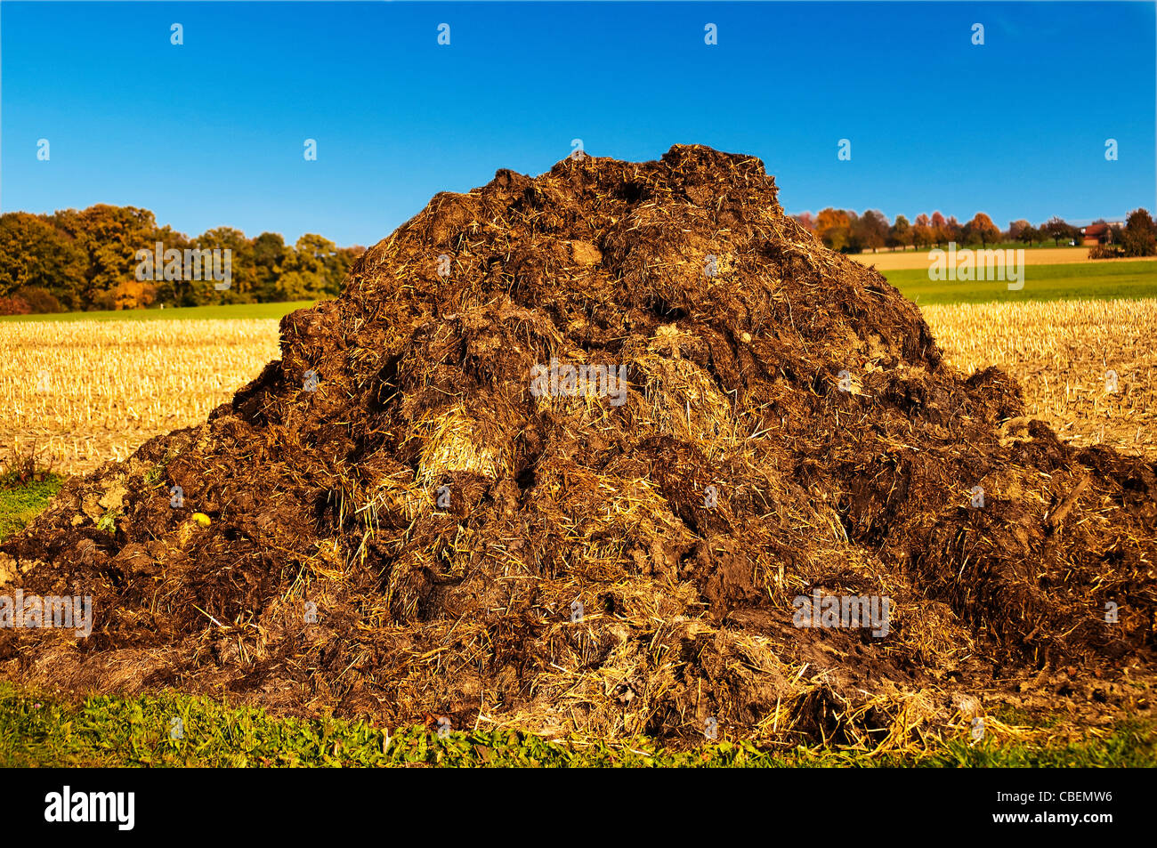 dung hill with a blue sky Stock Photo - Alamy