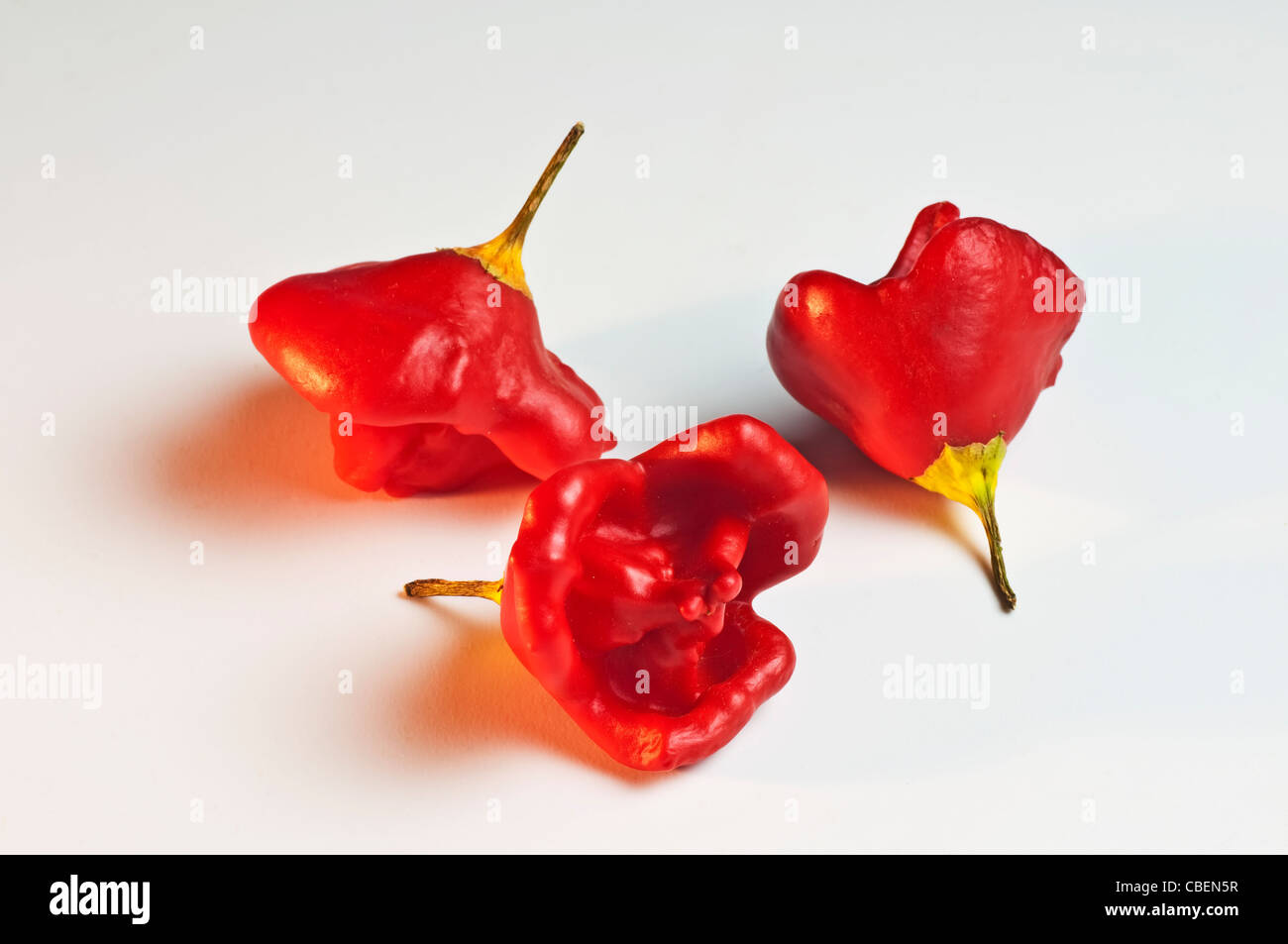 bishops crown chili Stock Photo - Alamy