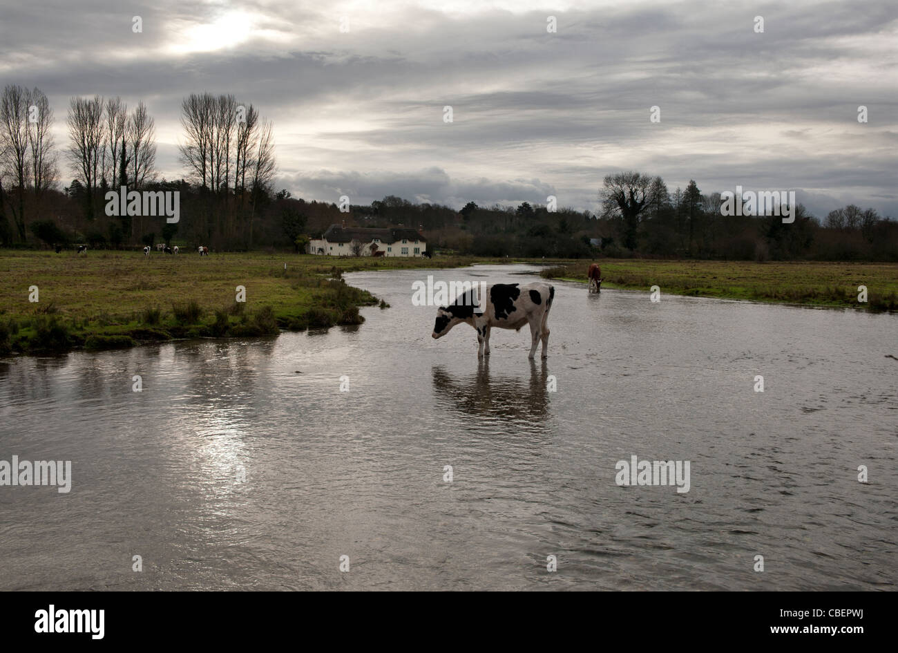 Test 2011 hi-res stock photography and images - Alamy