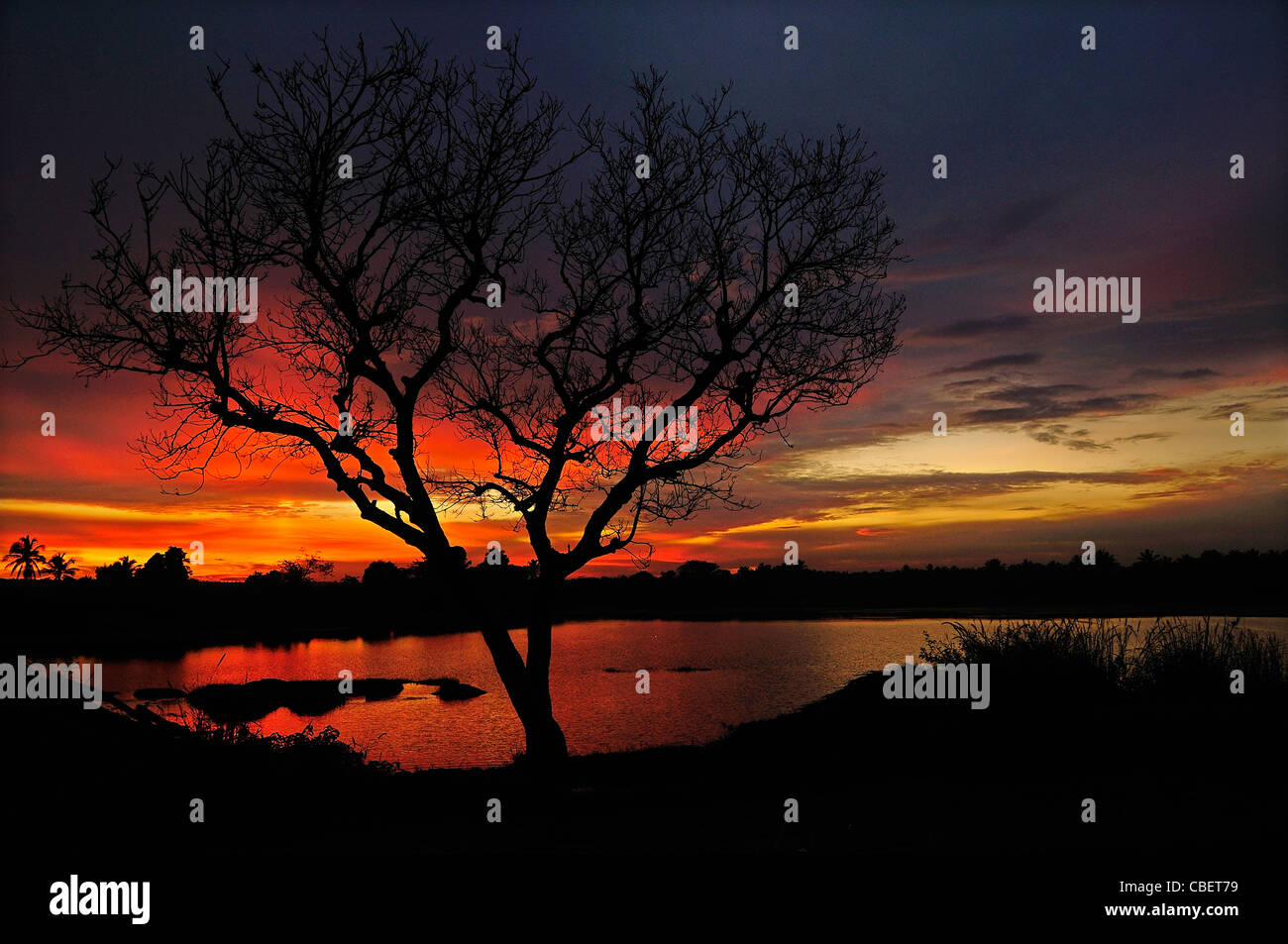 Colors from the nature Stock Photo - Alamy