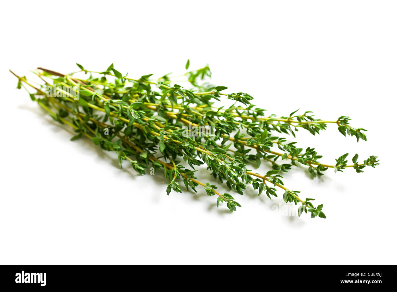 Thyme cut out hi-res stock photography and images - Alamy
